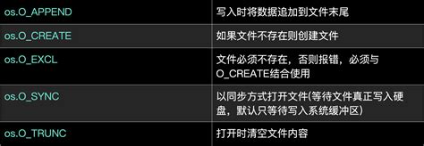 Golang学习记66~67，文件常见操作读写 Os Io Bufio包 Golang教程网