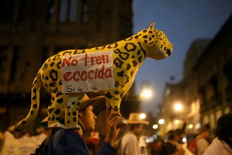 Tren Maya El Gran Impacto Ambiental Que Dejará A Su Paso El Proyecto Insignia De Amlo Infobae