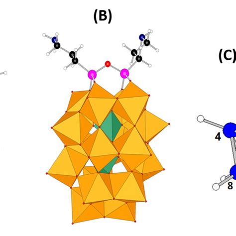 Molecular Structures Dft Optimized Geometry Of A Siw10 Aptes And