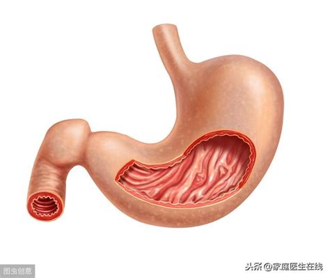 男性如何養胃？避免4種行為，胃部「感激涕零」 每日頭條
