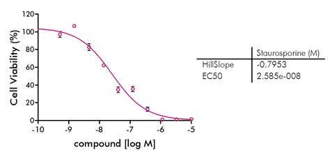 Cell Proliferation Assay Service Celltiter Glo Reaction Biology