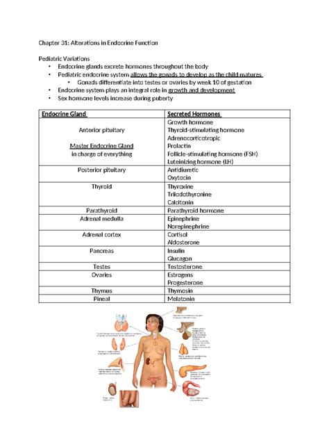 Peds Exam 4 Pediatric Notes Chapter 31 Alterations In Endocrine