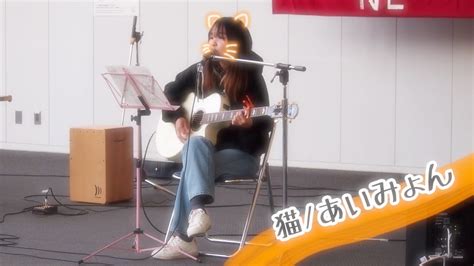 【弾き語り】猫 ／dish北村匠海 作詞・作曲：あいみょん Cover Youtube