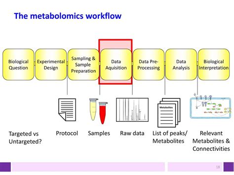 Bioinformatics Metabolomics Ppt Download