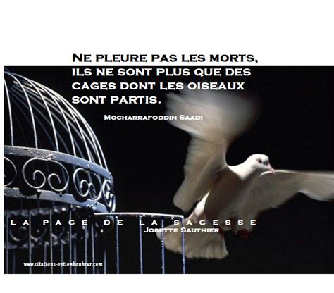 Citations Option Bonheur Citation Sur La Mort