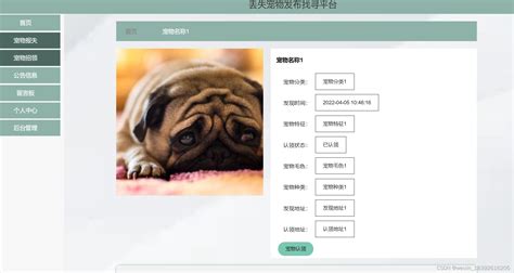 丢失宠物发布找寻平台宠物丢了哪个平台可以发布 Csdn博客