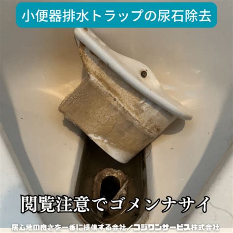 小便器排水トラップの尿石除去 サービス事例 ハウスクリーニング専門店大阪のコジワンサービス 株