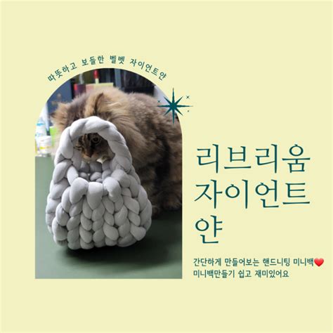 리브리움 벨벳 자이언트얀으로 미니백만들기 핸드니팅 가방뜨개질 네이버 블로그