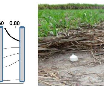 Schematic A And Field B Arrangement Of Access Tubes For Measuring Soil Download Scientific