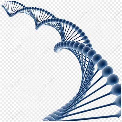 블루 유전자 추상 Dna 일러스트단순한조직푸른 Png 일러스트 무료 다운로드 Lovepik