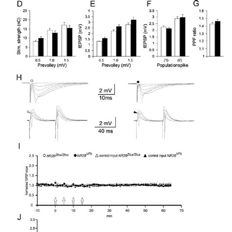 Figure S3 Excitatory Transmission Synaptic Excitability Paired Pulse