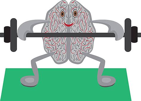 Brain Exercise PNG Transparent Images Free Download Vector Files Pngtree