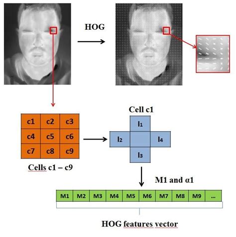 Scheme Extrcated Features Using Hog Method Download Scientific Diagram