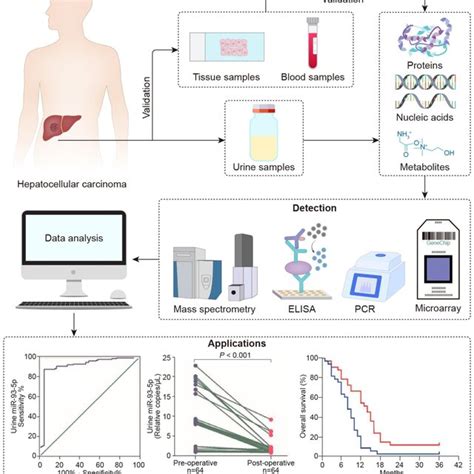 Representative Urinary Ctdna Biomarkers For Hcc A Diagnostic