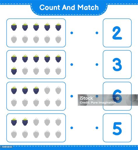 카운트 앤 매치 블랙베리 수를 계산하고 올바른 숫자와 일치합니다 교육 어린이 게임 인쇄 워크 시트 벡터 일러스트레이션 0명에 대한 스톡 벡터 아트 및 기타 이미지 Istock