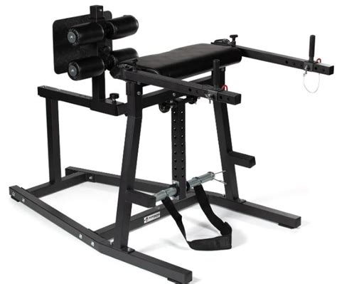 Titan Fitness Glute And Hamstring Combo Machine Fitness Gizmos