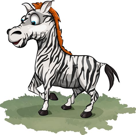 Zebra Zebra Black And White Hd Wallpaper