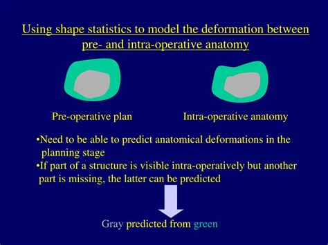Ppt Measuring Anatomy And Its Deformation Using Deformable Shape