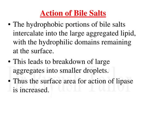 Lipid Digestion Absorption Pdf
