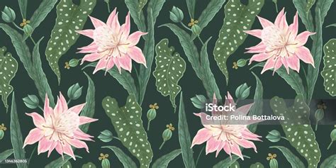 다른 꽃식물원단 패턴 빈티지 꽃 배경 꽃과 허브 벽지 손으로 그린 3d 일러스트 0명에 대한 스톡 벡터 아트 및 기타 이미지 0명 개화기 고풍스런 Istock