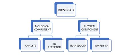 Introduction To Biosensors Pioneering The Future Of Analytical