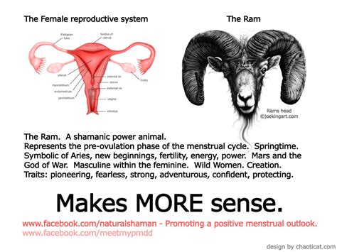 Natural Shaman Womb Symbolism Rams Head