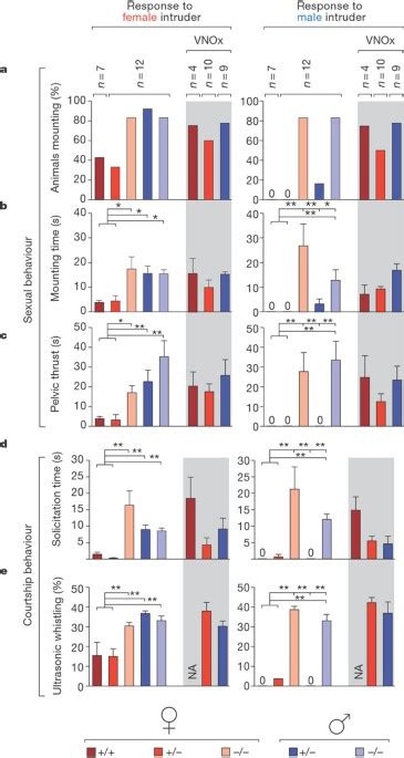 A Functional Circuit Underlying Male Sexual Behaviour In The Female Mouse Brain Nature
