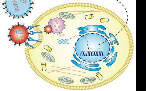 Ai细胞膜绘制 哔哩哔哩 Bilibili