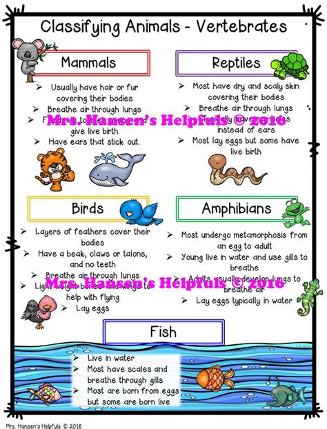 Classifying Animals Science Anchor Charts And Poster Set Artofit