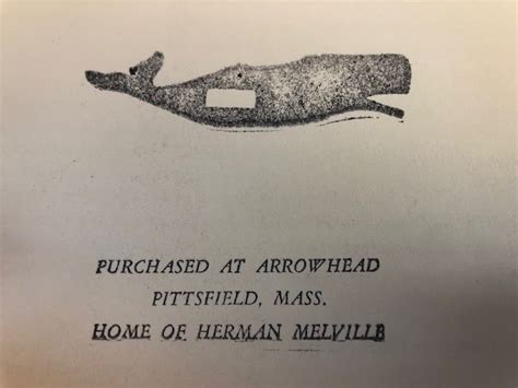 Anecdotal Evidence Wildness Imagination Escaping Out Of Bounds