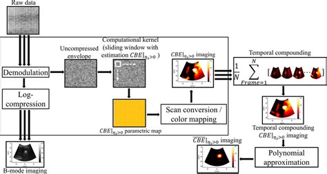 The Algorithmic Scheme For Ultrasound Single Phase Cbe Imaging The