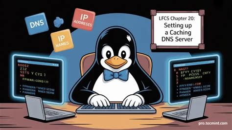 How To Set Up A Caching DNS Server On Linux