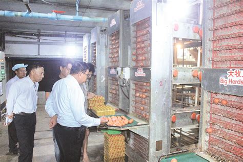 ကုန်ဈေးနှုန်း တည်ငြိမ်ရေးအတွက် ဒေသတွင်းအသားကဏ္ဍ တိုးချဲ့မွေးမြူနိုင်ရေးနှင့် သင့်တင့်သောဈေးနှုန