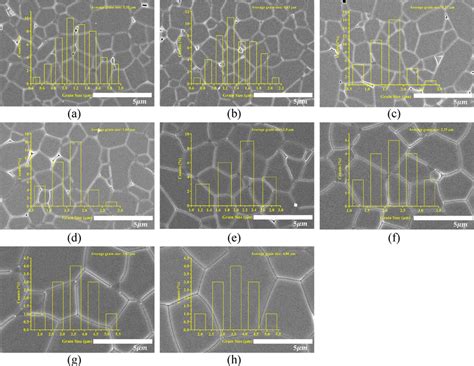 the polished and thermally etched microstructures of the tio2 ceramics download scientific