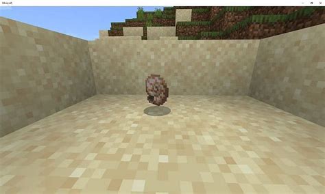 What Can You Do With A Nautilus Shell In Minecraft