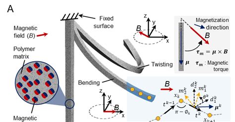 physics based computationally efficient simulation of magnetic soft