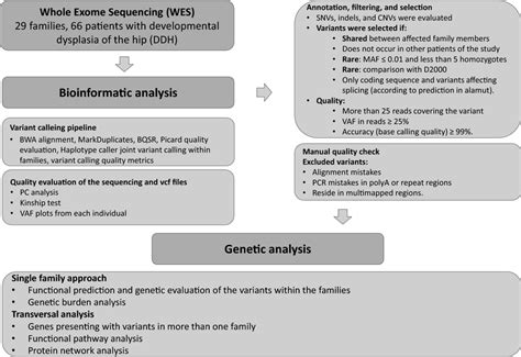 General Overview Of The Project We Performed Whole Exome Sequencing Of