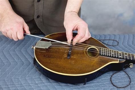 How To Set Up A New Mandolin Dummies