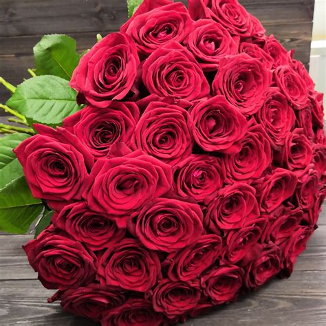 Огромный букет красных роз 60 фото