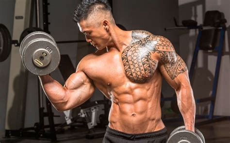 Тренировка плеч и рук в один день программа тренировки упражнения