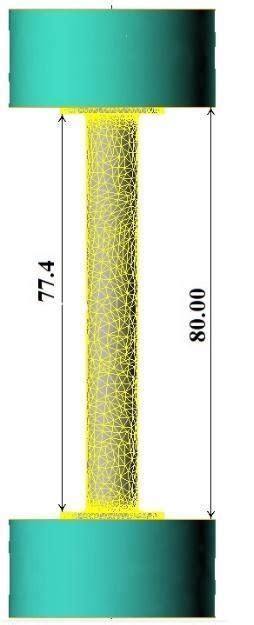 A Finite Element Model Of Torsion Of The Cylindrical Specimen Download Scientific Diagram