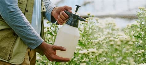 What Is The Best Systemic Insecticide