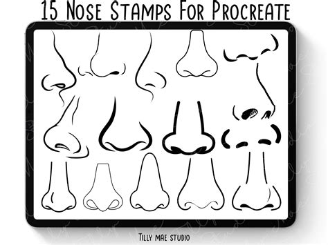 Nose Procreate Stamps Procreate Nose Brushes Procreate Face Stamps Portrait Procreate Digital