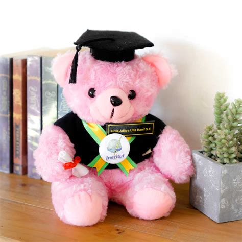 Kado Wisuda Boneka Teddy Bear Medium Pink Soft Kado Wisudaku