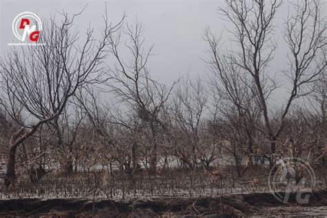 နံ့သာကျွန်း အဏ္ဏဝါအမျိုးသားဥယျာဉ်ကို ထိန်းသိမ်းရန် လိုအပ်နေ Development Media Group