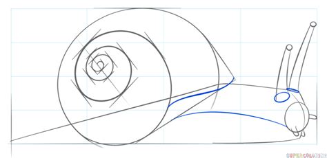 How To Draw A Snail Step By Step Drawing Tutorials