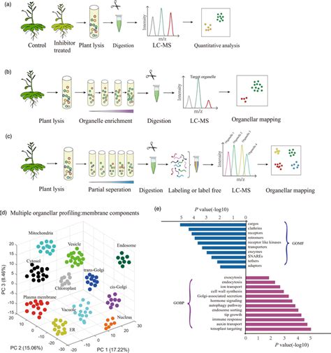 Dissection Of Vesicle Trafficking With Spatial Proteomics A