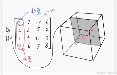 Pytorch 入门指南2：tensor 的深度解析（概念篇） Csdn博客