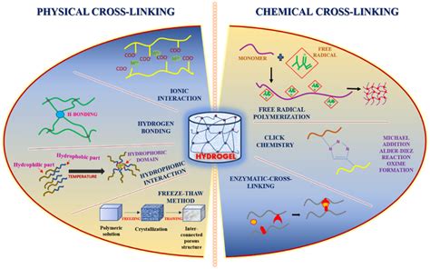 Various Strategies For The Synthesis Of Various Hydrogel Based Systems Download Scientific