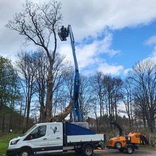 MEWP Cherry Picker Projects Ktrees Ltd